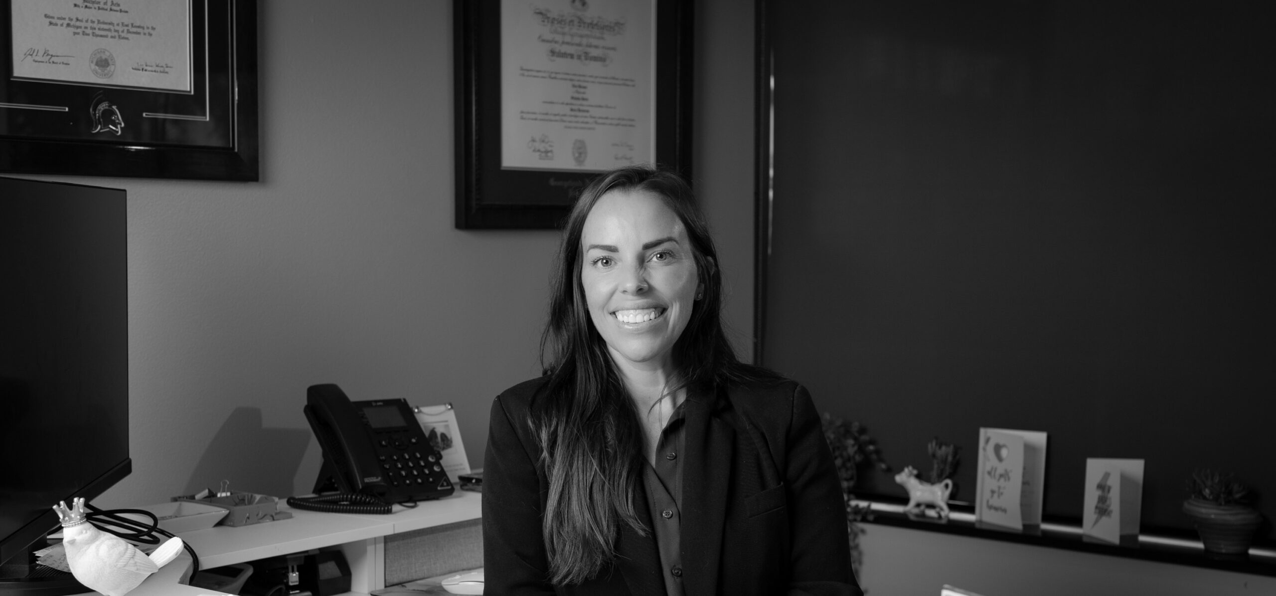 California Family Attorney Erin Brown, Esq. - Skarin Law Group